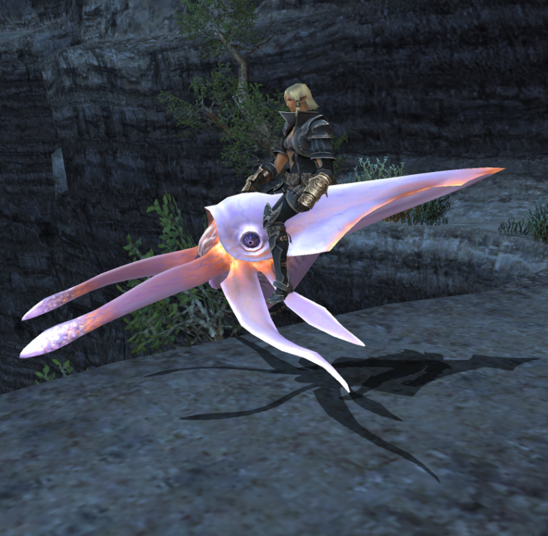 Lv99までの道のり - ワープの開通編 | FF11回顧録